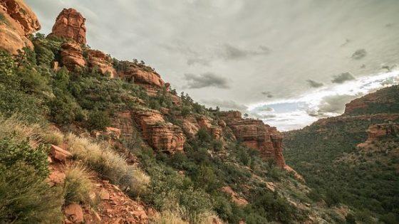 Man Survived For Days In Arizona Desert On Beer And Crackers – The ...