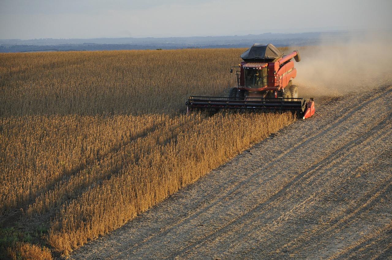 Farm Bankruptcies Surge Way Past Level Of Last Recession – The ...