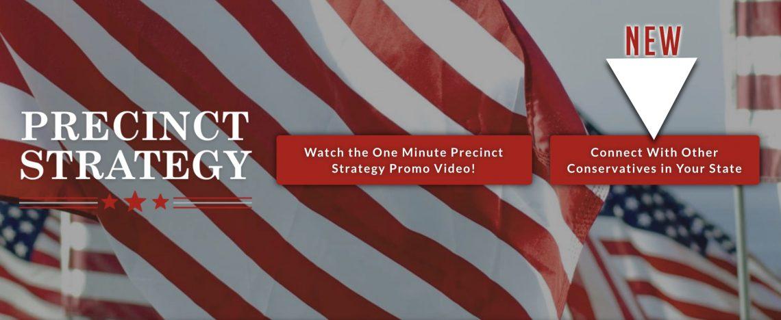 Precinct Strategy Now Has Statewide Groups With Which You Can Connect ...